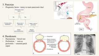abdominal trauma basics, diagnosis, treatment, organ wise ...