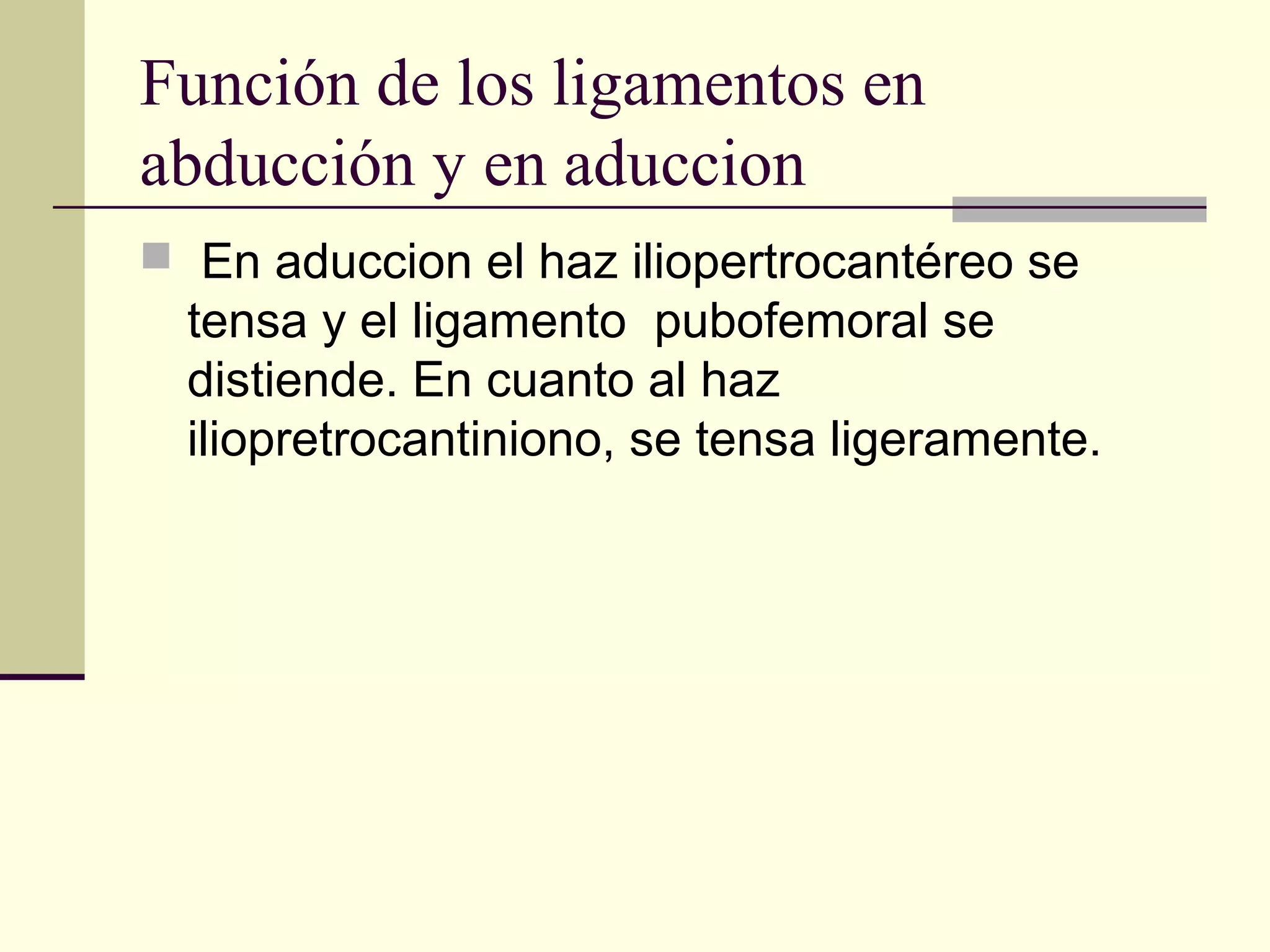 Abducción y aduccion de cadera.ppt completo | PPT