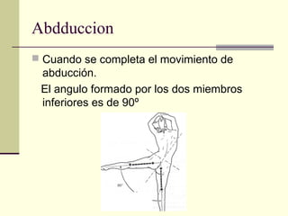 Abducción y aduccion de cadera.ppt completo | PPT