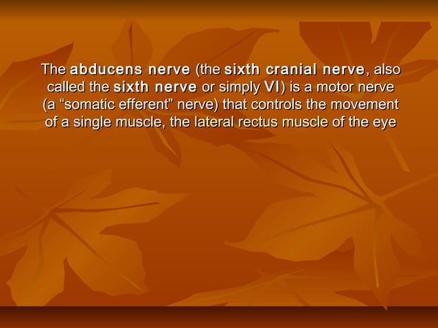 презентация Abducens | PPT