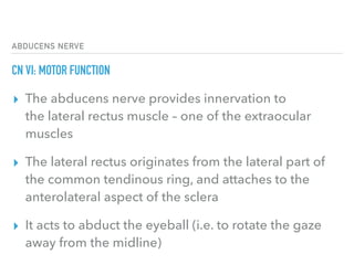 Abducens nerve | PDF