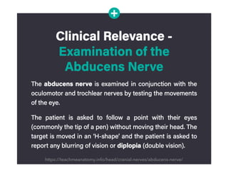 Abducens nerve | PDF