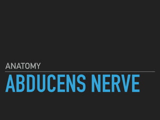Abducens nerve | PPT