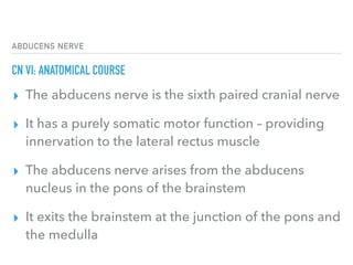 Abducens nerve | PPT