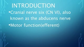 abducens nerve.pptx