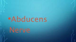 abducens nerve.pptx