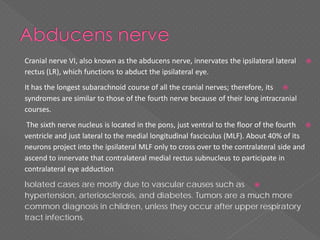 6 th nerve palsy | PDF