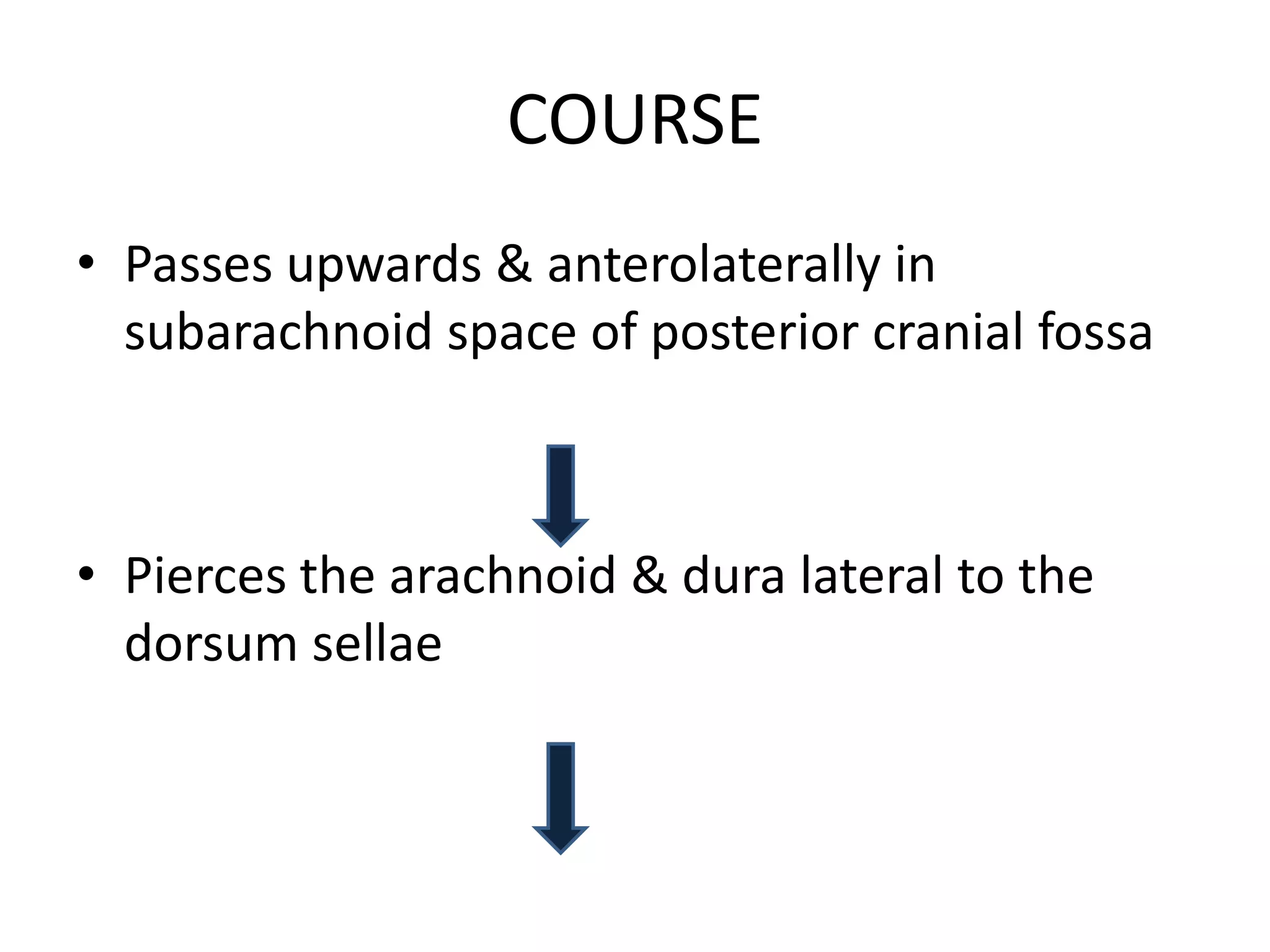 Abducent nerve clinical anatomy | PPTX