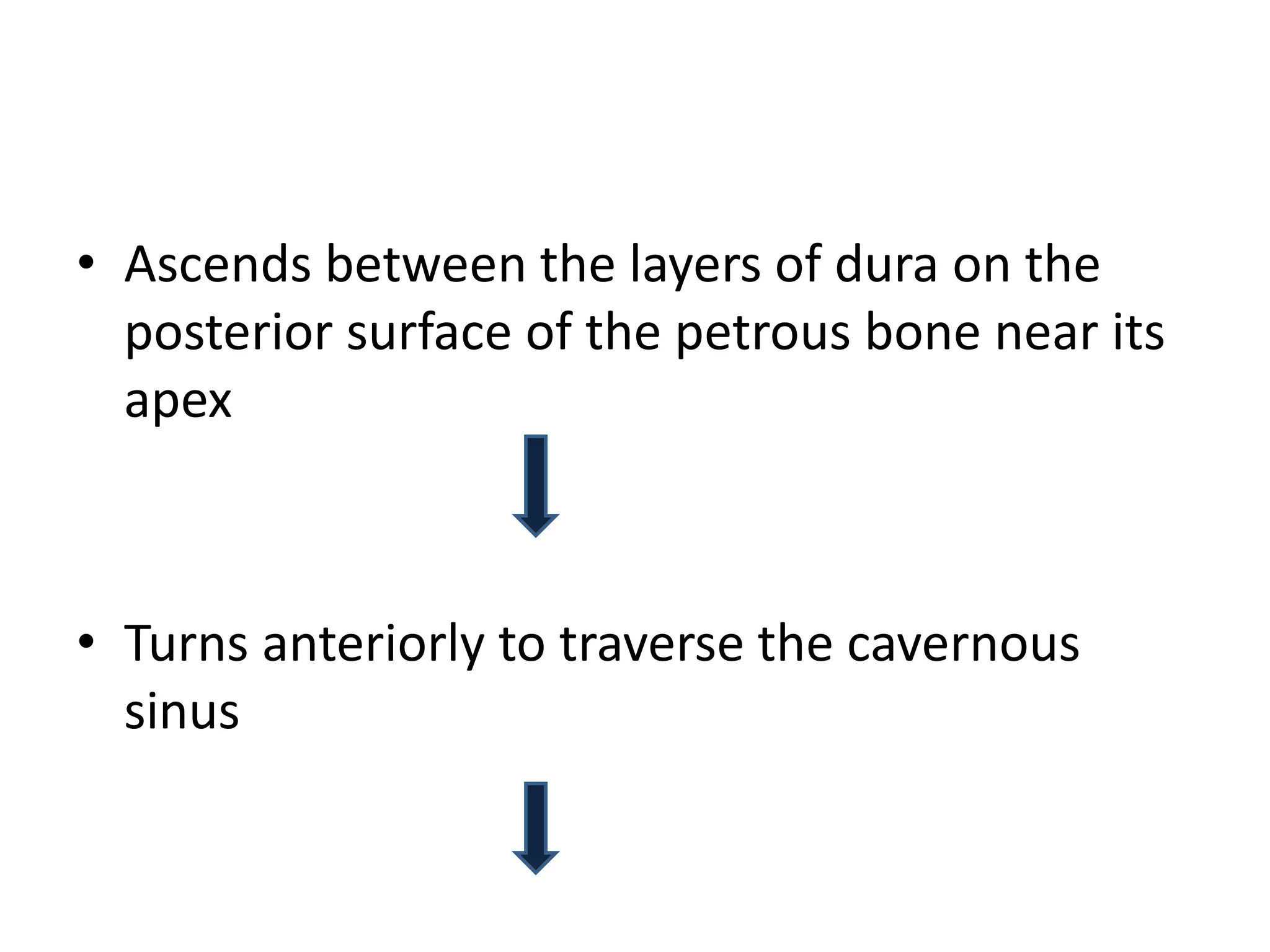 Abducent nerve clinical anatomy | PPTX