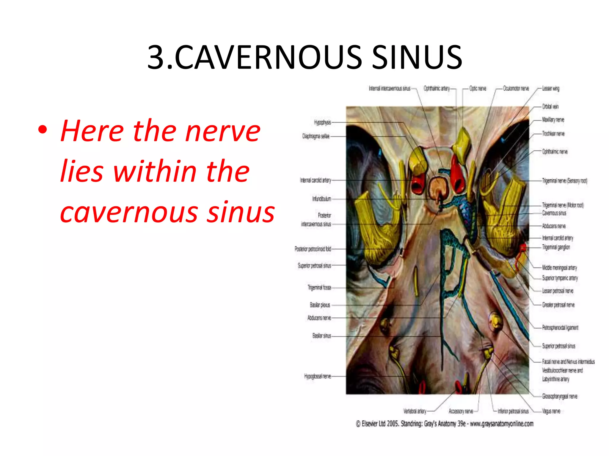 Abducent nerve clinical anatomy | PPTX