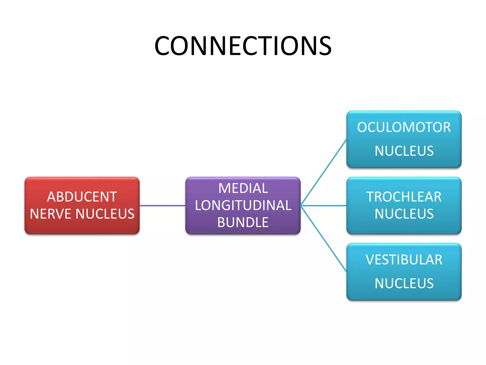 Abducent nerve clinical anatomy | PPTX