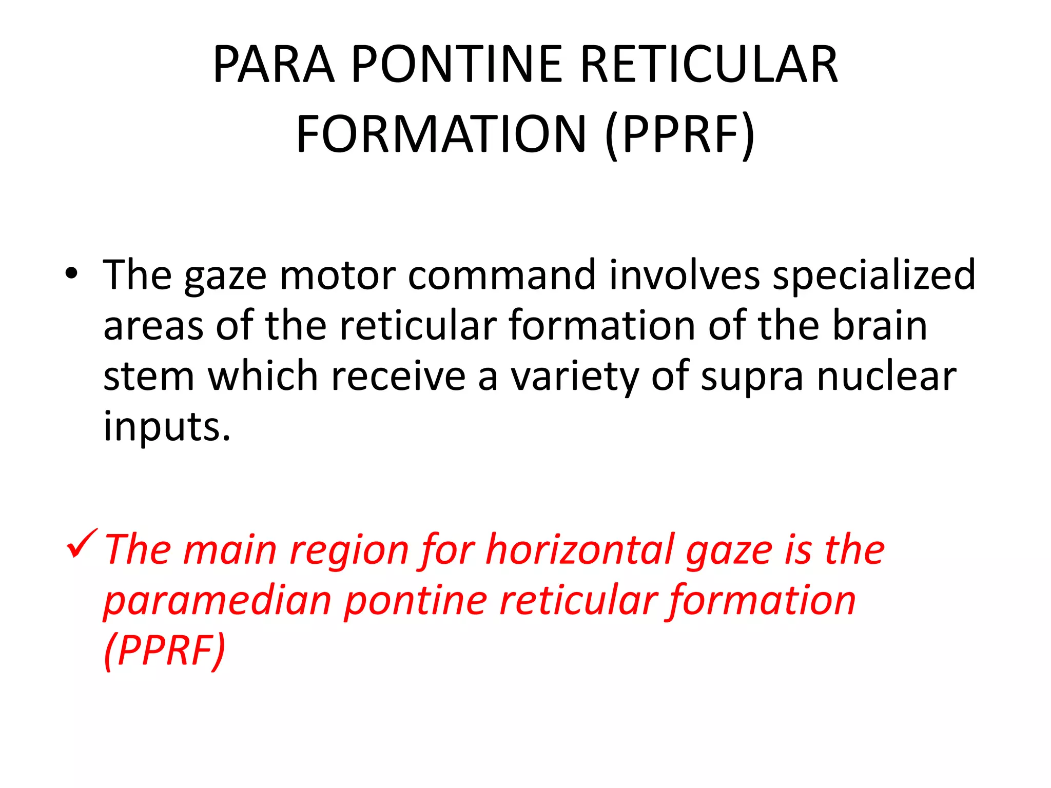 Abducent nerve clinical anatomy | PPTX