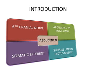 Abducent nerve clinical anatomy | PPTX
