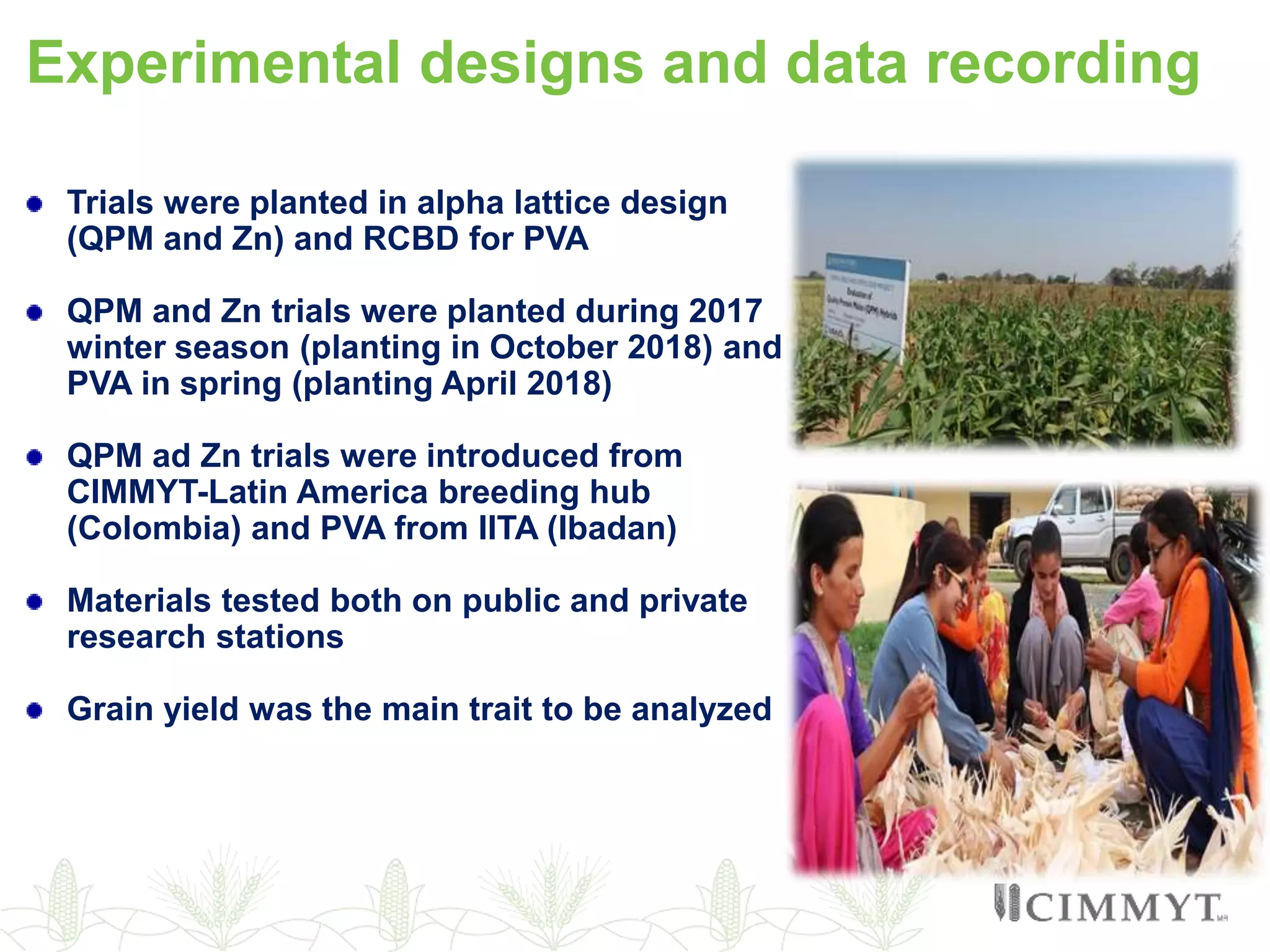 Adaptation pattern of biofortified maize in Nepal | PPTX