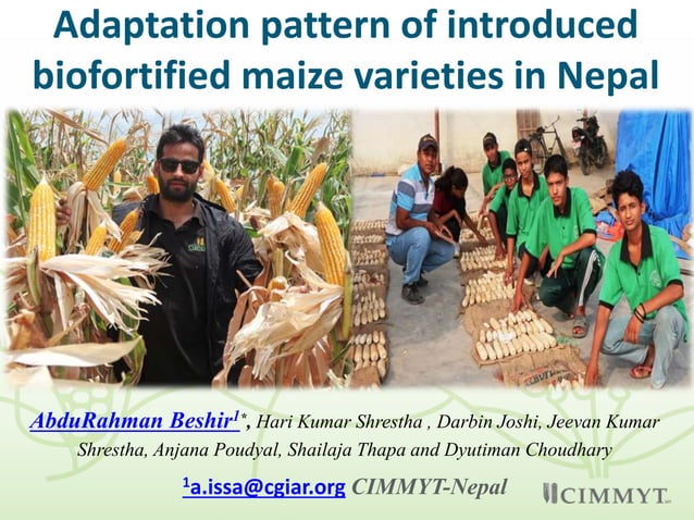 Adaptation pattern of biofortified maize in Nepal | PPTX