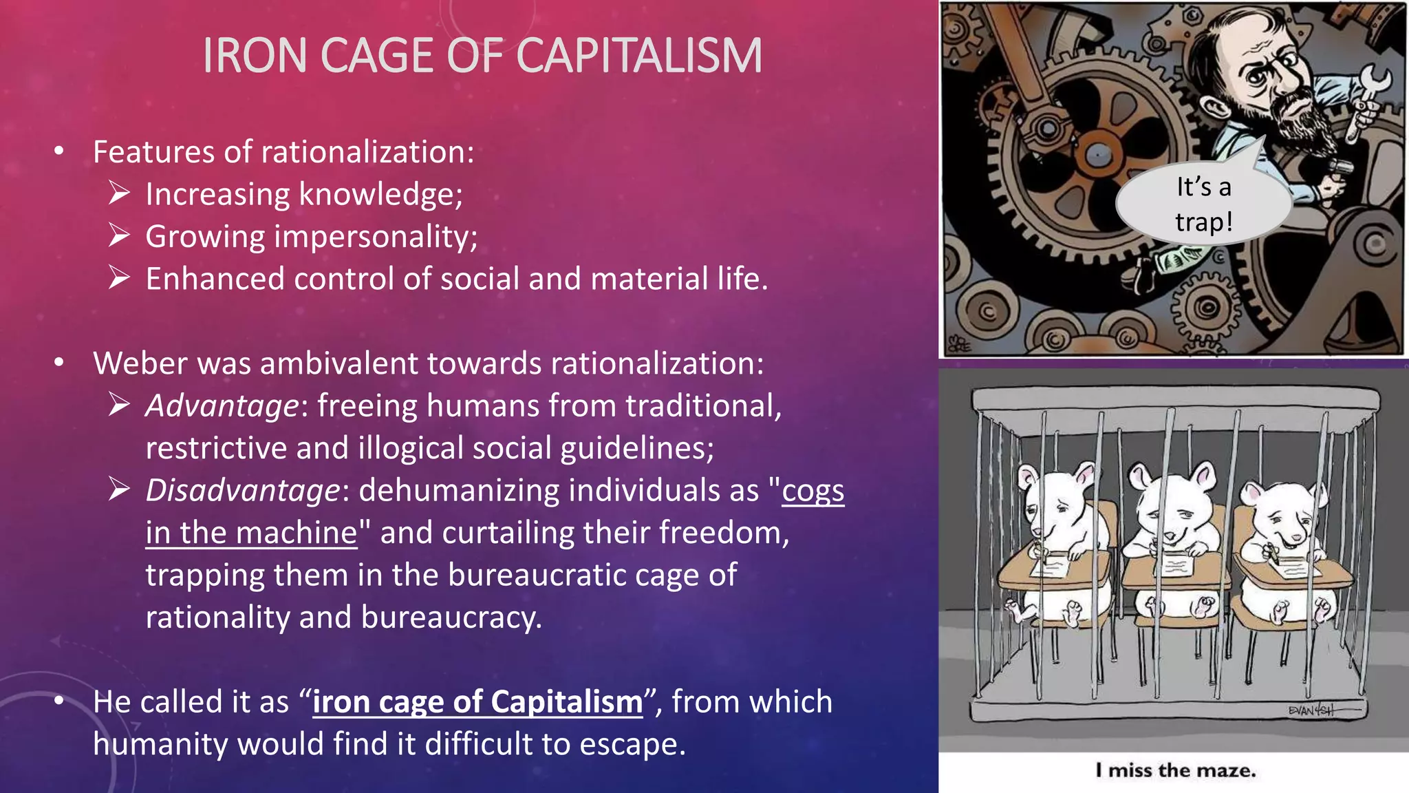 "Iron cage of capitalism” of Weber. evidences of rationalization in ...