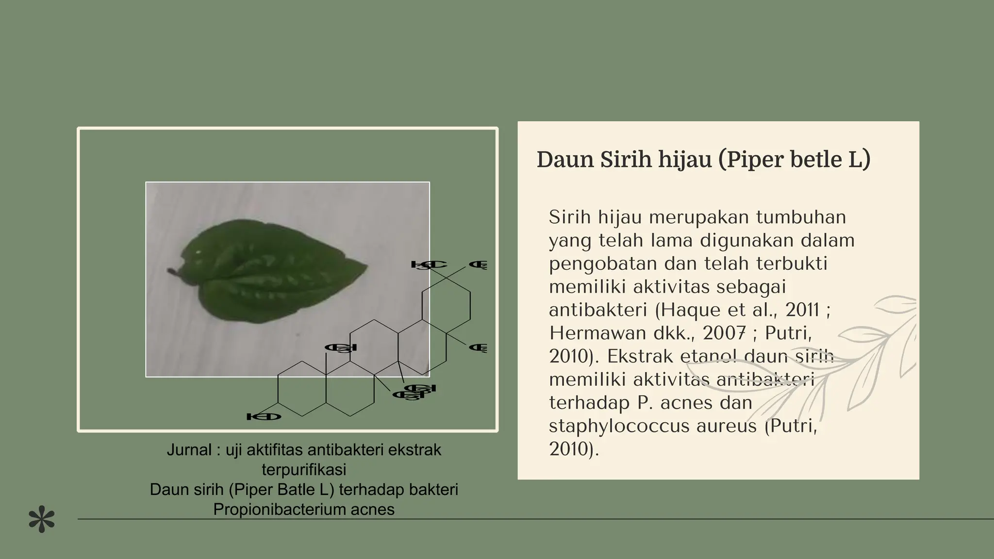 jenis daun dan manfaat untuk kesehatan .pptx