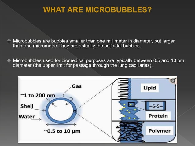 A project on microbubble. | PPTX | Chemistry | Science