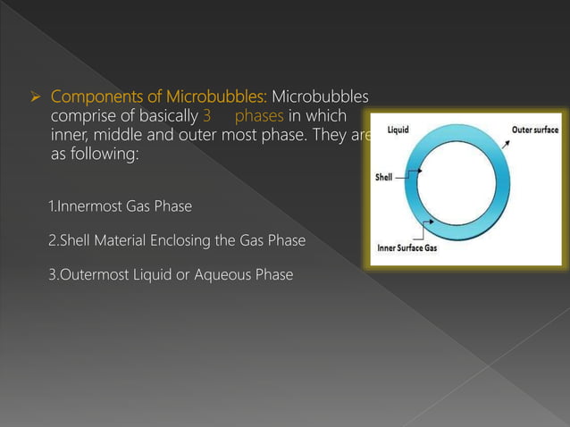A project on microbubble. | PPTX | Chemistry | Science