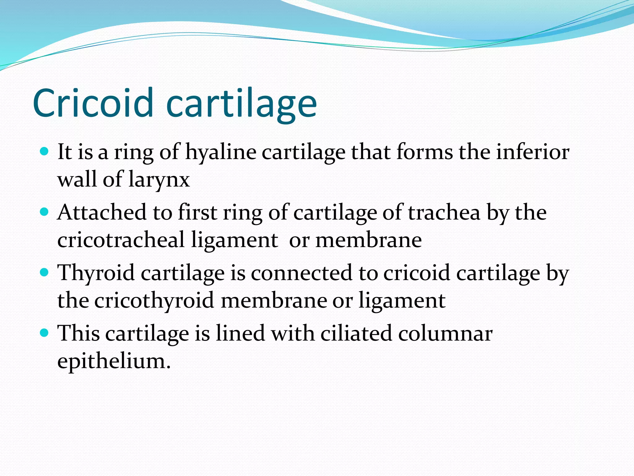pharynx and larynx | PPTX
