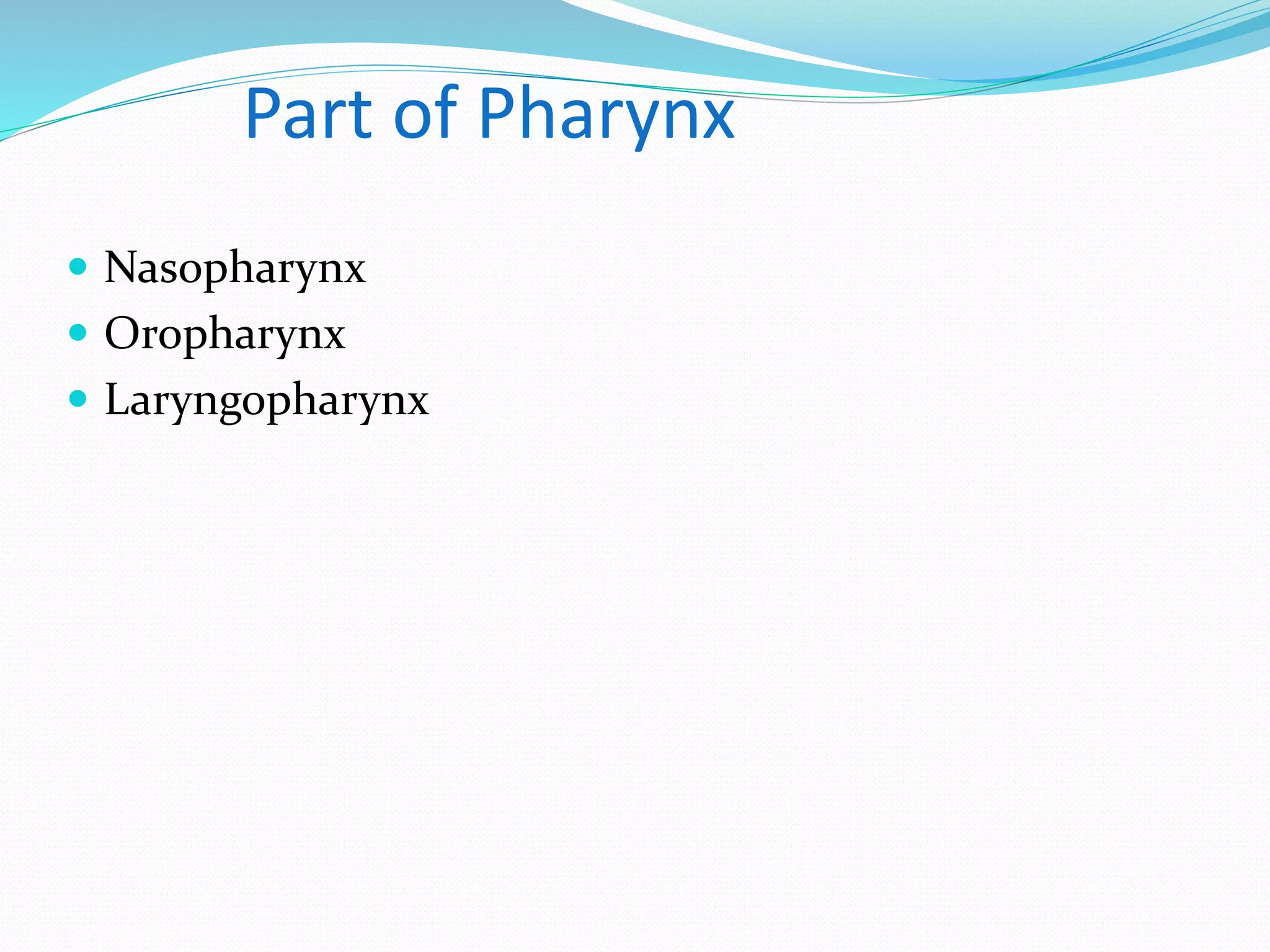 pharynx and larynx | PPTX