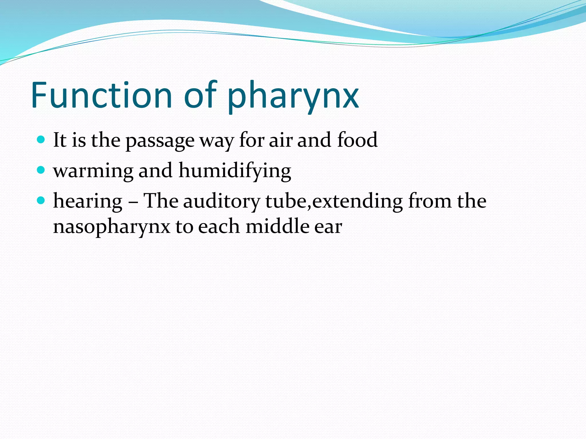 pharynx and larynx | PPTX