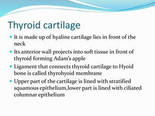 pharynx and larynx | PPTX