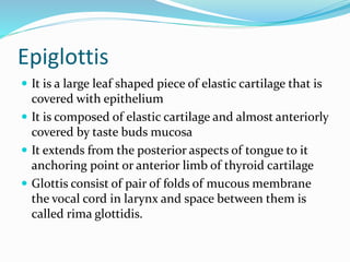 pharynx and larynx | PPTX