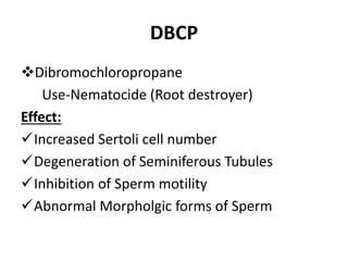 Reproduction by Abdul Hai Al-Hadi | PPT