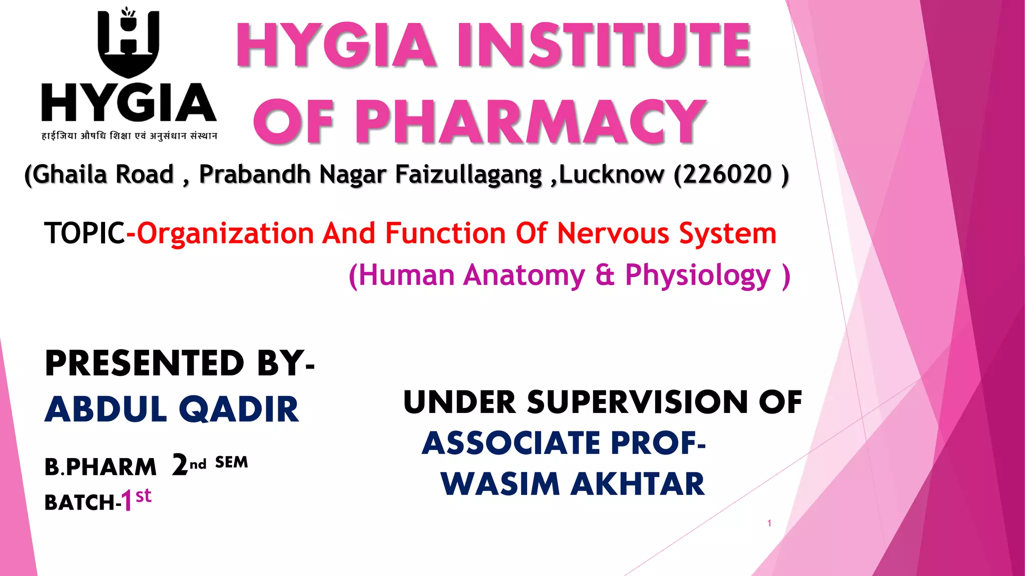 Organization of nervous system | PDF