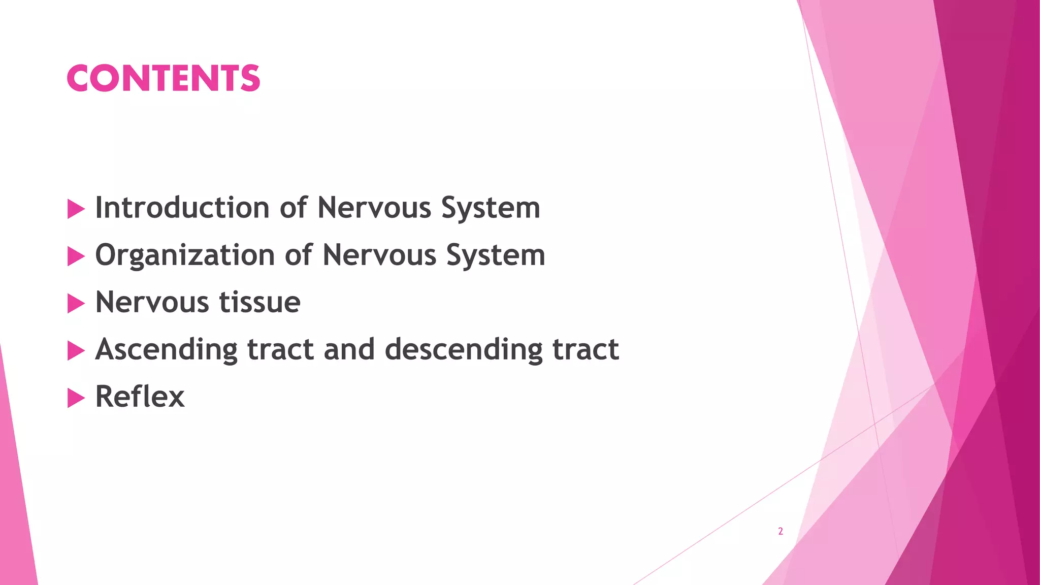 Organization of nervous system | PDF