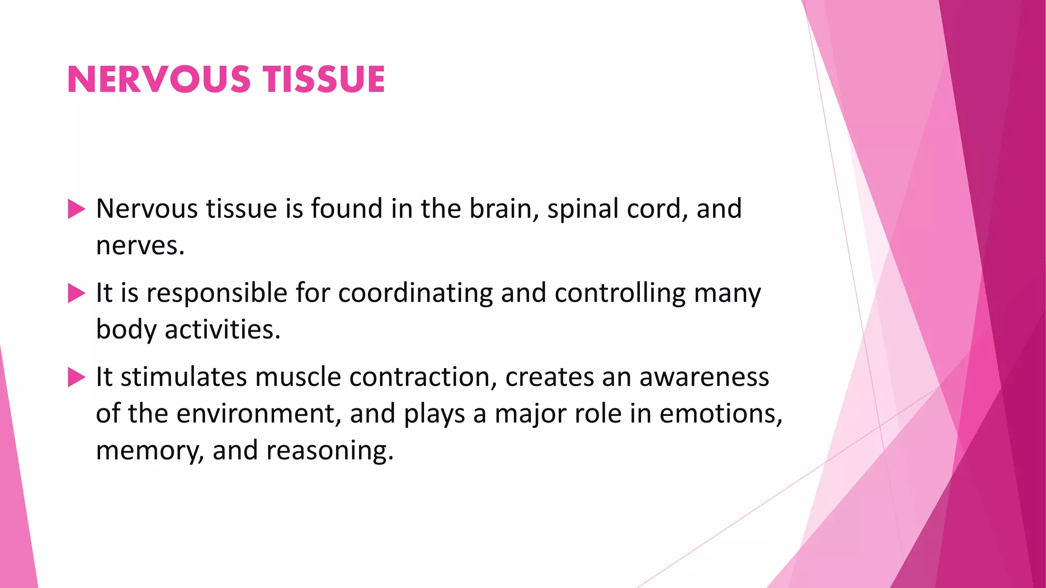 Organization of nervous system | PDF