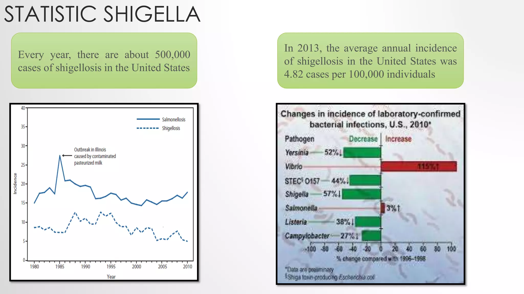 Season Plan for Ebola Virus Disease and Shigella Bacteria | PPTX
