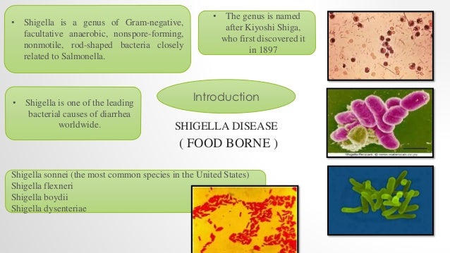 Season Plan for Ebola Virus Disease and Shigella Bacteria