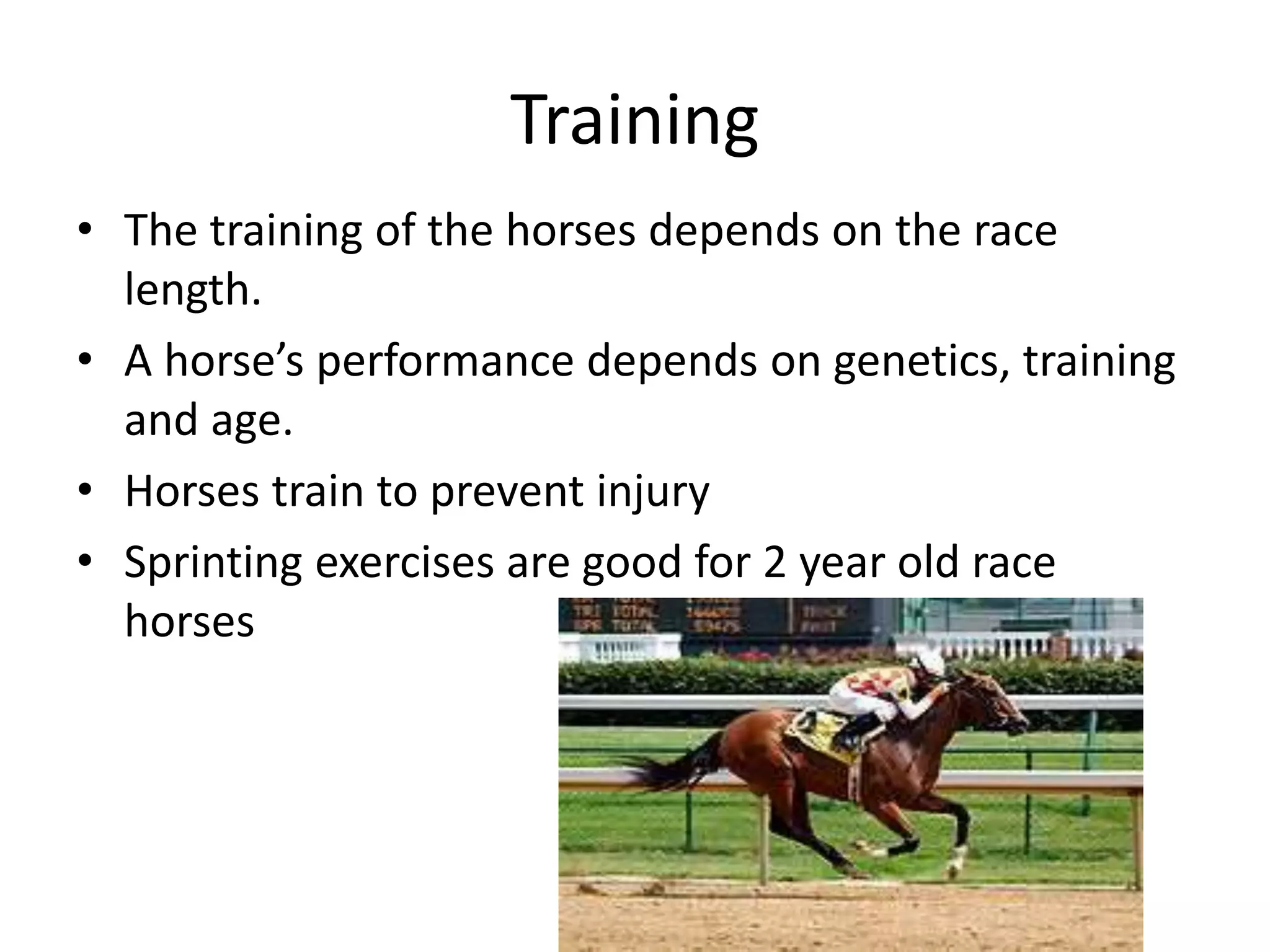 Abdulla horse riding ... presentation | PPTX | Equine Sports | Sports