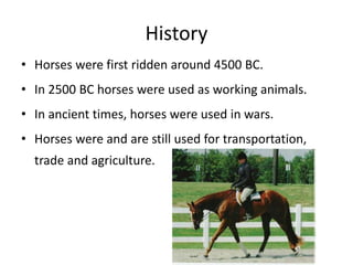 Abdulla horse riding ... presentation | PPTX | Equine Sports | Sports