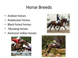 Abdulla horse riding ... presentation | PPTX