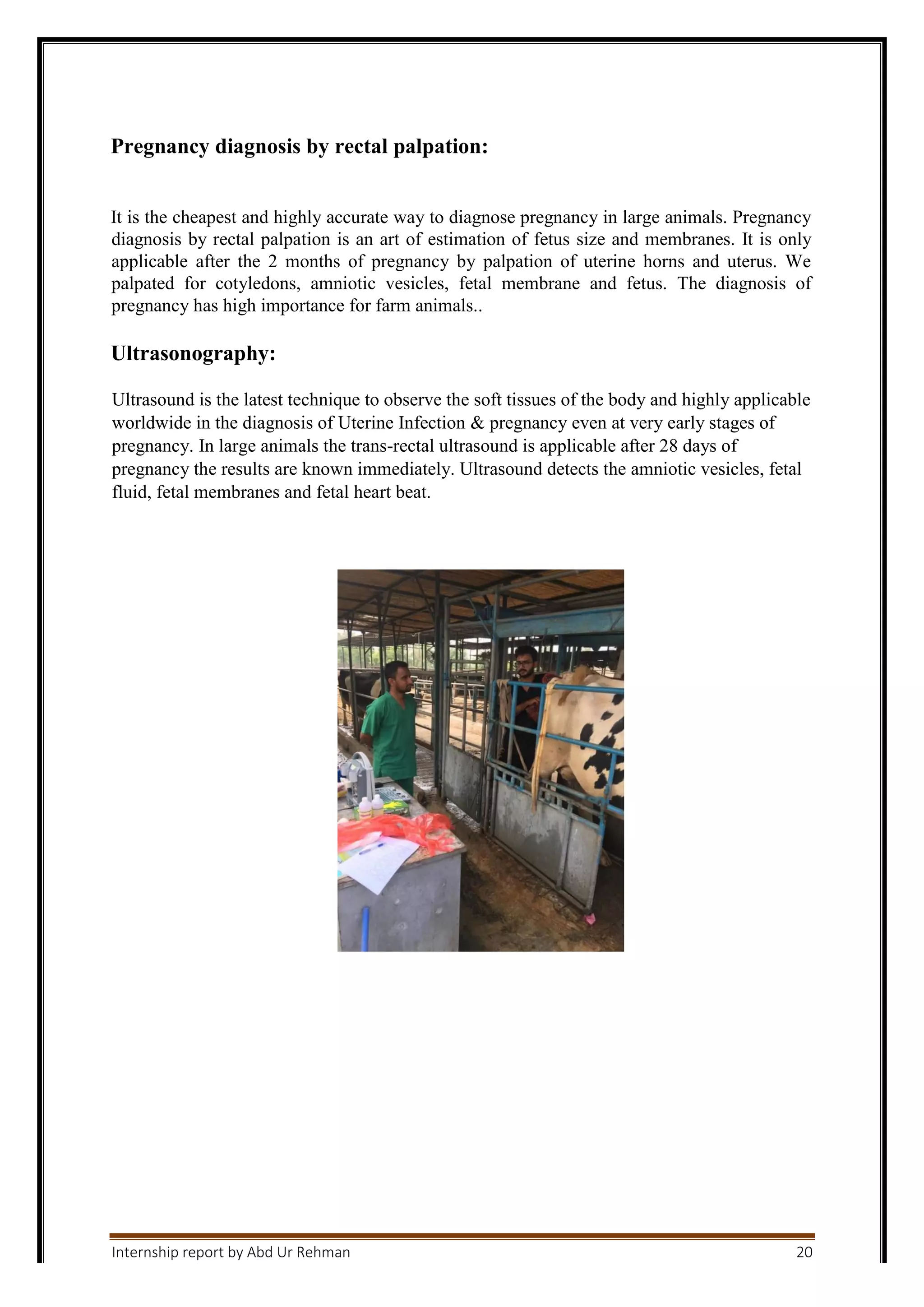 Abd Ur Rehman Final Internship Report | PDF