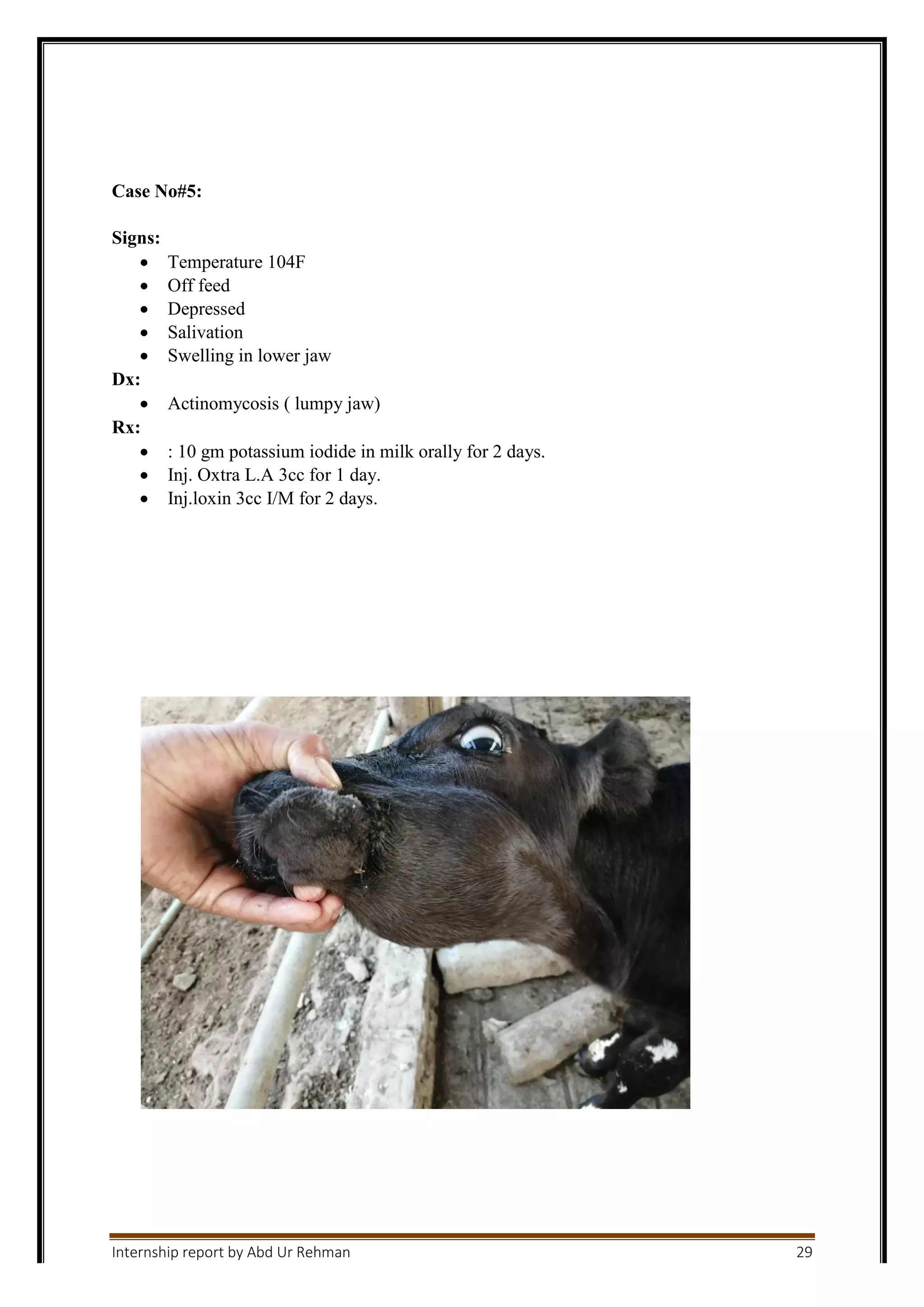 Abd Ur Rehman Final Internship Report | PDF