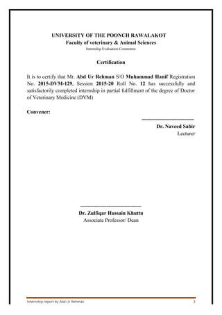 Abd Ur Rehman Final Internship Report | PDF
