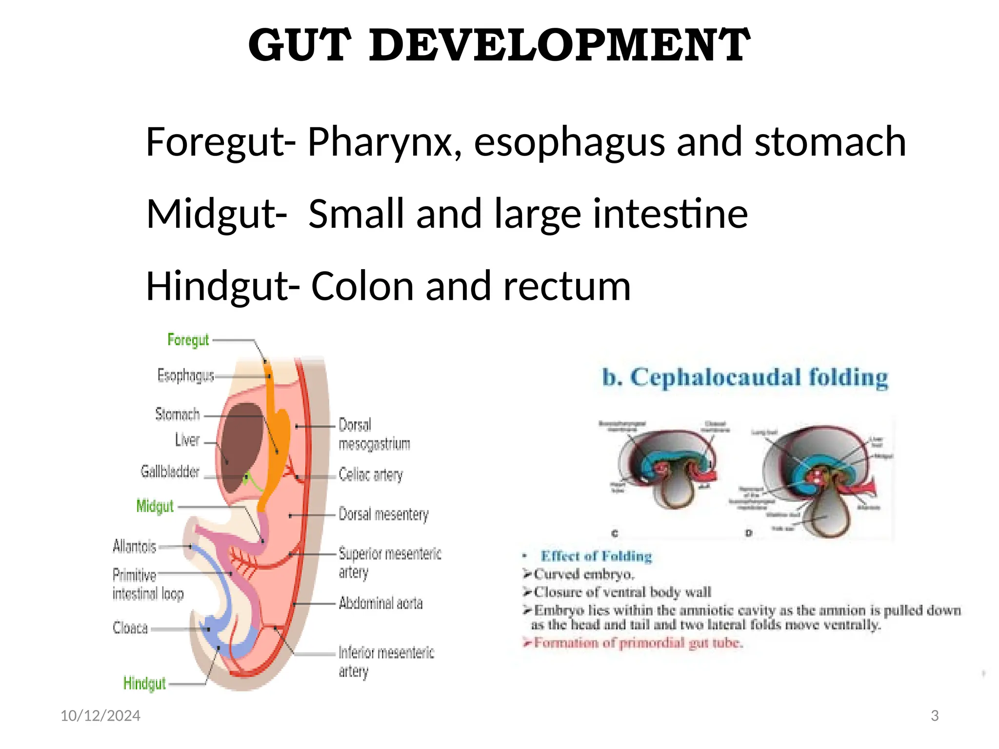 Gastroschisis and omphalocele ; congenital abdominal wall defects | PPT