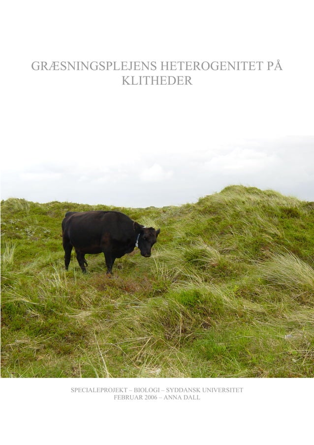 Speciale - Rapport med forside | PDF