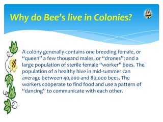 A Bee's Life | PPSX