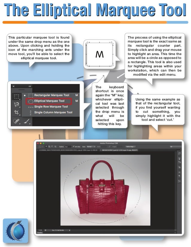 Elliptical Marquee Tool - assetspecification