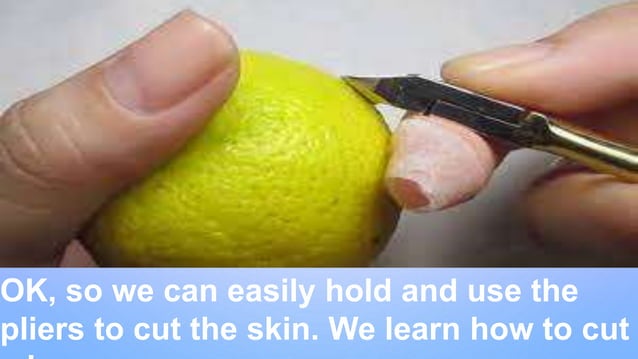 A beginner's guide to picking skins | PPT