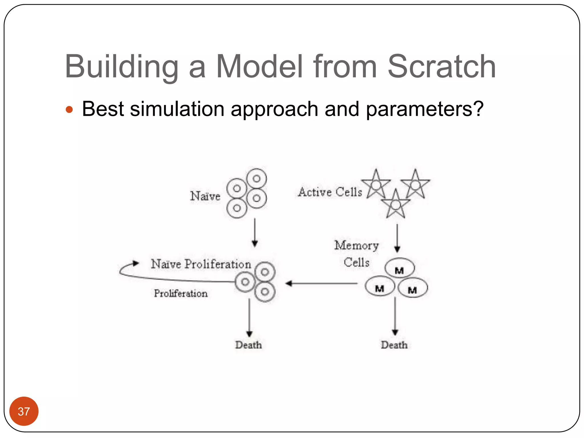 A Beginner’S Guide To Simulation In Immunology | PPT