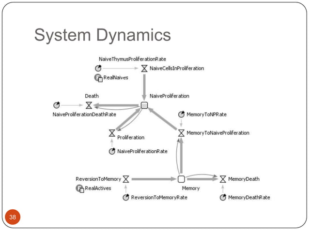 A Beginner’S Guide To Simulation In Immunology | PPT
