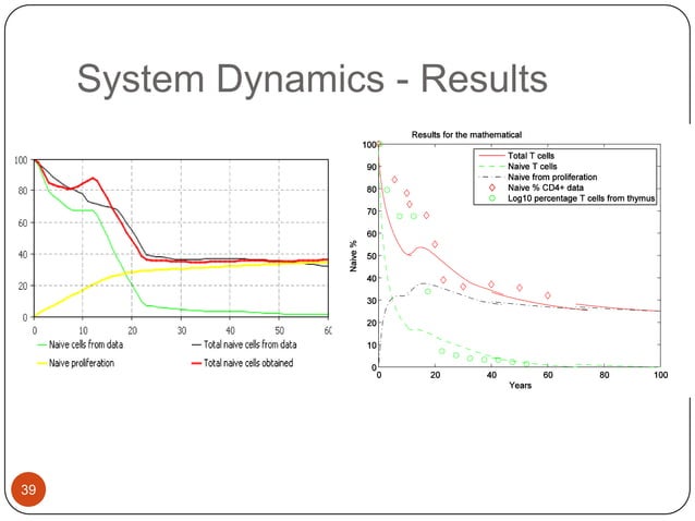 A Beginner’S Guide To Simulation In Immunology | PPT