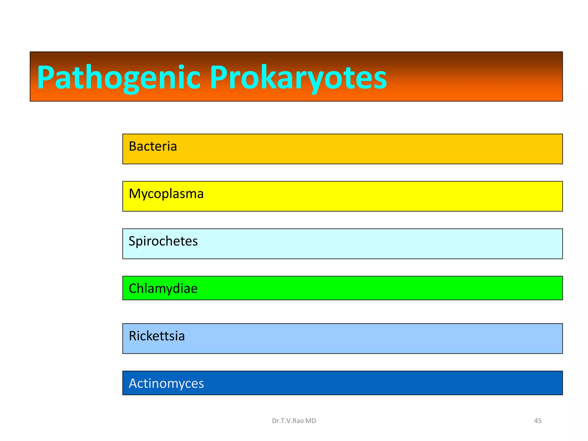 MEDICAL MICROBIOLOGY revisiting the history by Dr.TV.Rao MD medical ...