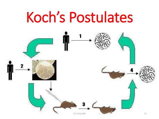 MEDICAL MICROBIOLOGY revisiting the history by Dr.TV.Rao MD medical ...